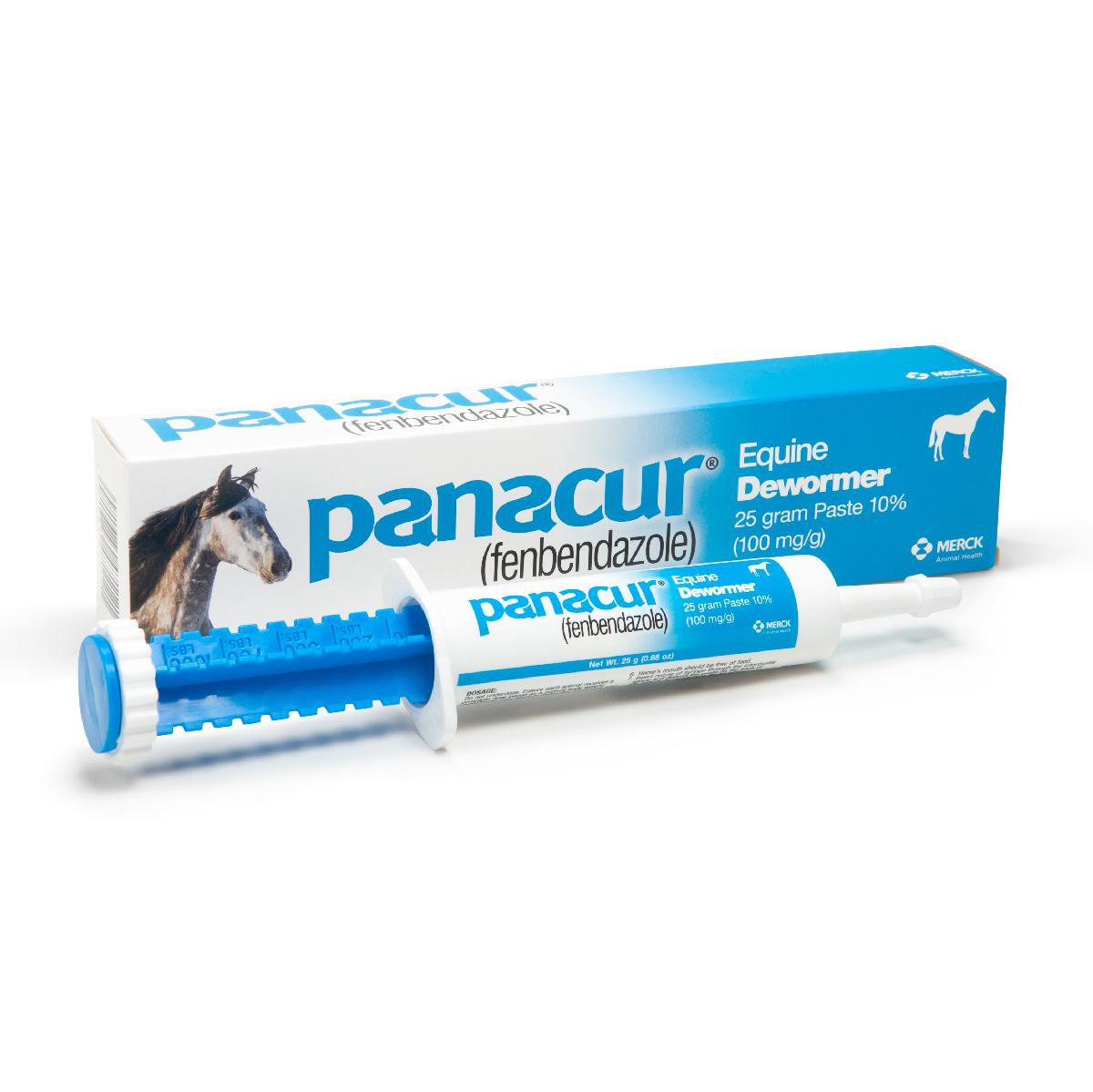 Panacur (fenbendazole) Dewormer Paste 10 percent, 25 grams | PetPawsRx